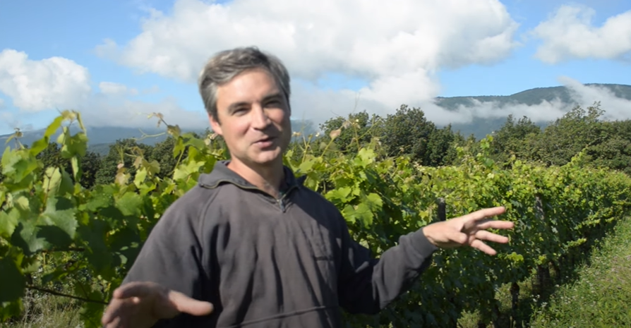 Racine Wine Imports www.racinewineimports.ca